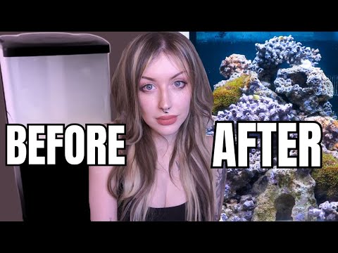 FINISHING MY 32 GALLON REEF TANK SETUP