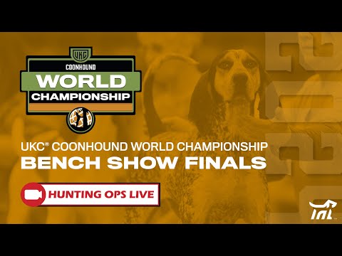 2024 Coonhound World Championship Bench Show Finals