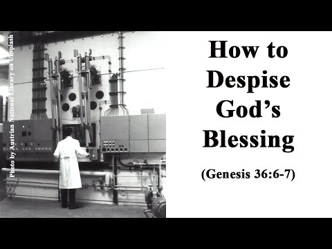 The Pastor's Letter - How to Despise God's Blessing
