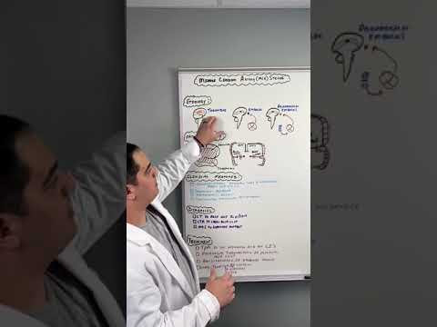Ischemic Stroke | Middle Cerebral Artery Stroke (MCA) #shorts
