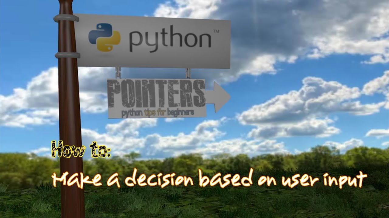 Python Pointers: how to make a decision based on user input