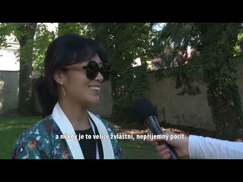 DTV Liberec - Anifilm 2024