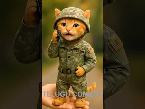 USA & Indian Army Cats Become Best Friends 🐾 | Emotional Military Bond!