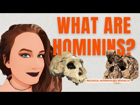 DR H EXPLAINS: What are hominins