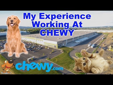 My Experience Working at CHEWY! Chewy Warehouse Job Review - How is it Working at Chewy?