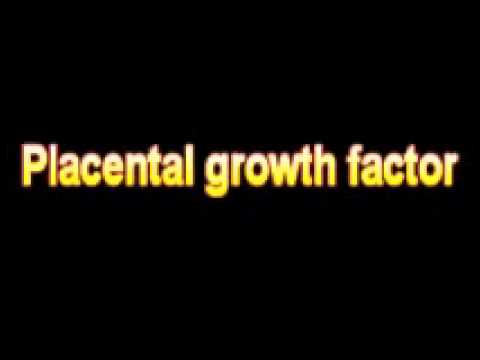 What Is The Definition Of Placental growth factor Medical School Terminology Dictionary