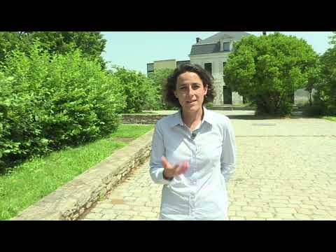 La Loi PACTE, c'est quoi ?