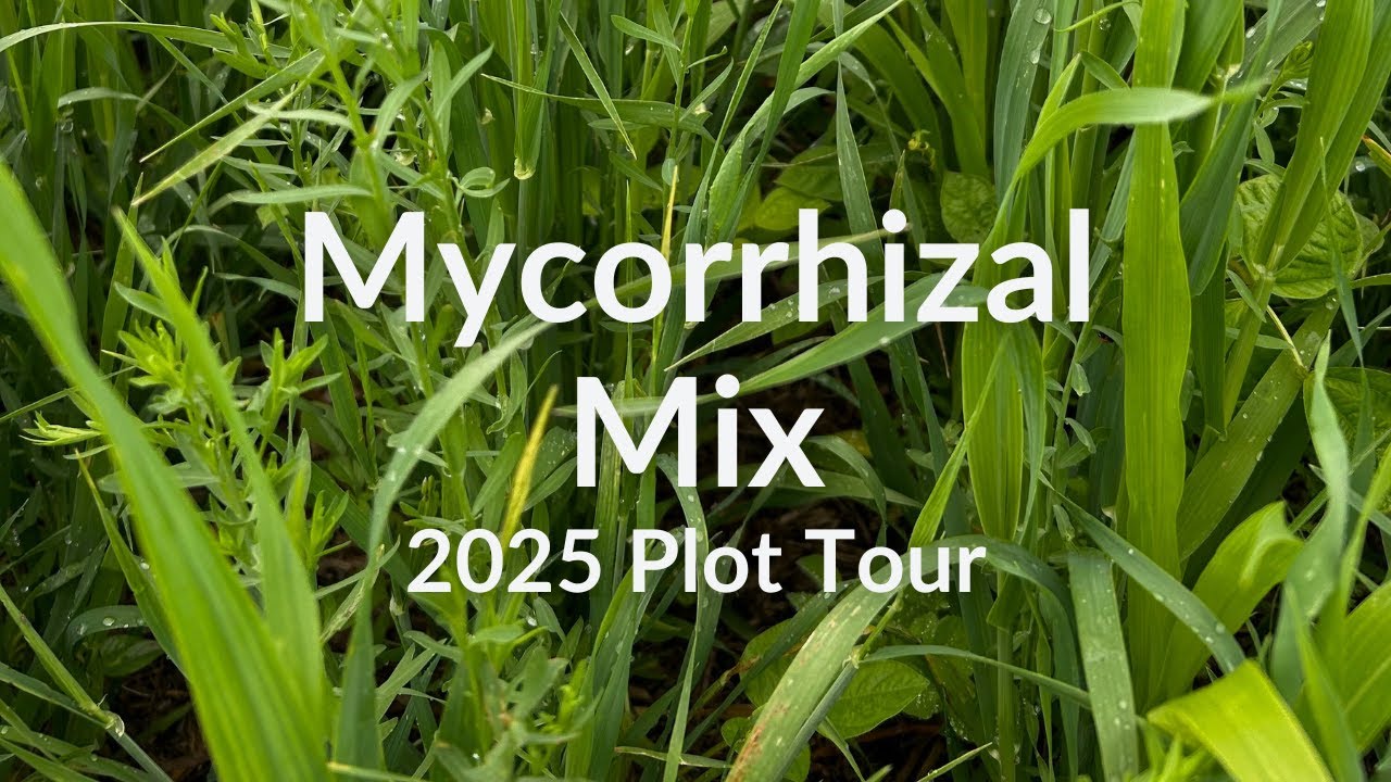 Mycorrhizal Mix  - 2025 Cover Crop Test Plot Tour