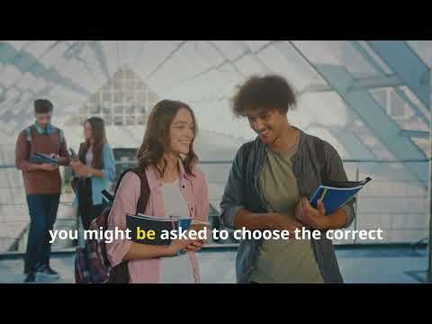 Standard English Conventions Overview 2024 12 21