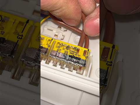 The WagoBox Pro Just Got Even More Useful
