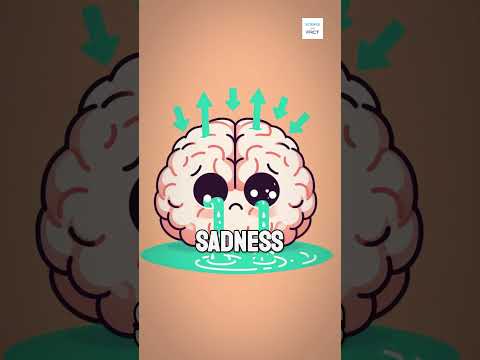 Why Do We Cry When We’re Sad?