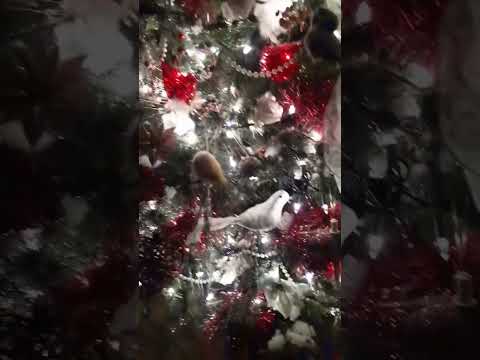 I said I wasn't putting a tree up this year 🙃