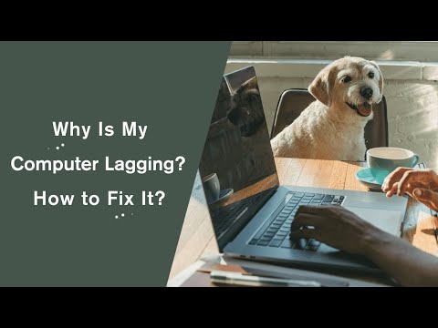 Why Is My Computer Lagging? How to Fix It?