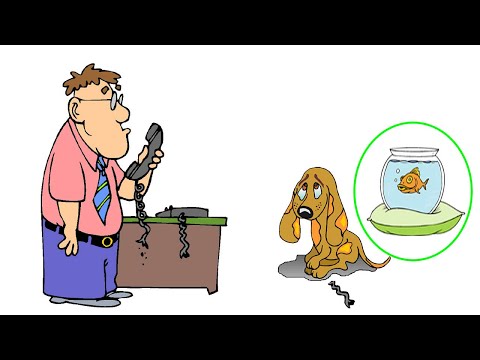 American Sign Language ASL Video Dictionary - innocent