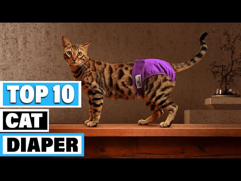 Best Cat Diaper In 2024 - Top 10 Cat Diapers Review