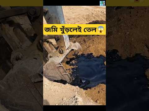 সৌদি আরবে তেল মানেই বিপদ! জমি খুঁড়লেই সরকারের দখল। #bengali #facts #dubai #oil #wildlife
