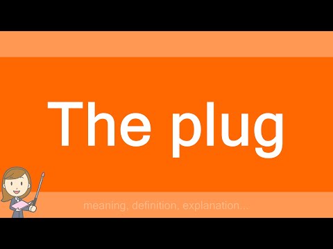 The plug