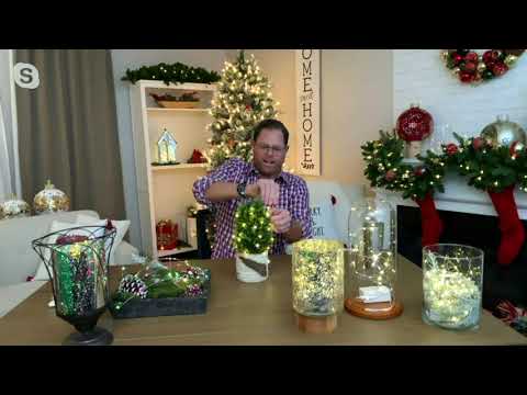 Bethlehem Lights Set of 4 Battery Operated 8' Fairy Lights on QVC