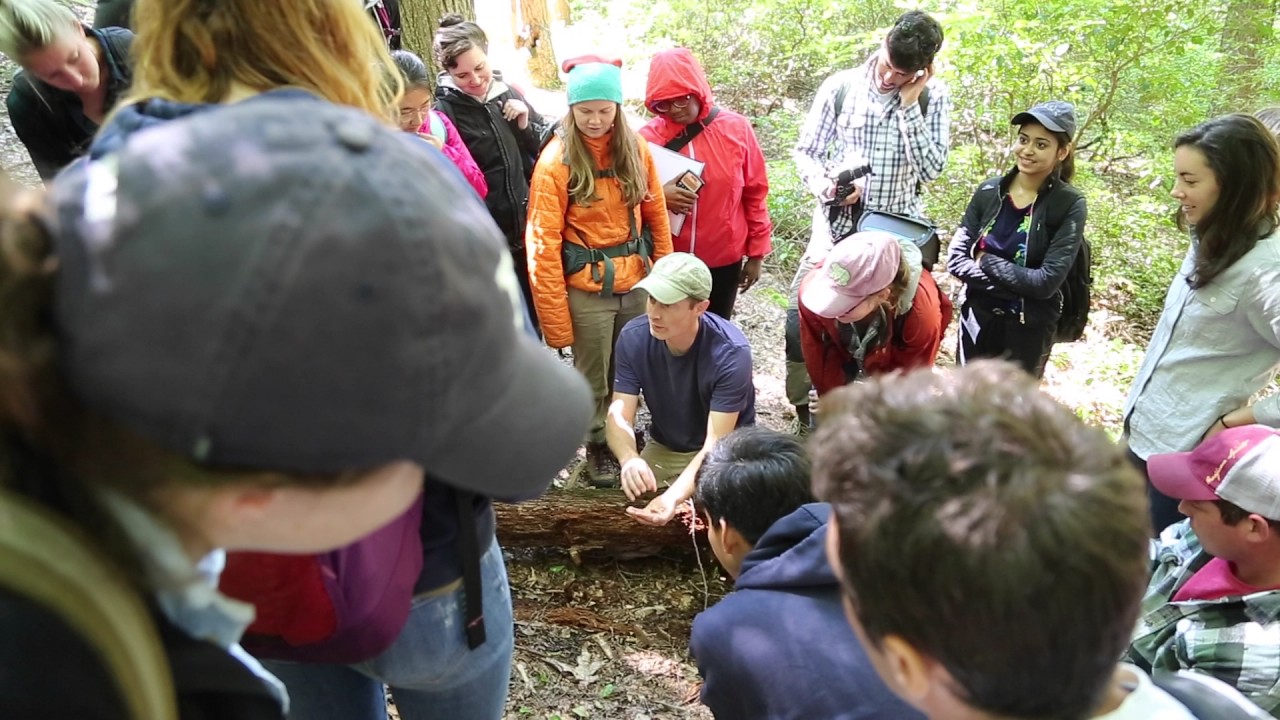 Mark Bradford at MODS