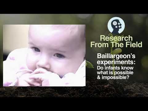 Physical Principles Held by Infants