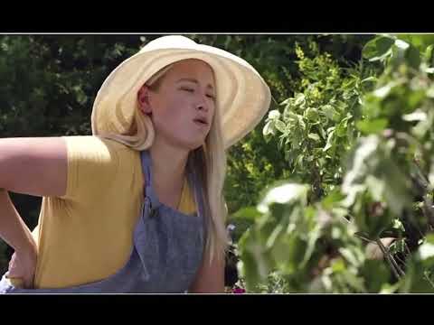Hempvana Bee Pollen Pain Cream