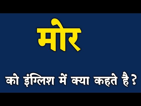 मोर को इंग्लिश में क्या कहते हैं।Mor ko english me kya kahte hai.Mor meaning in english