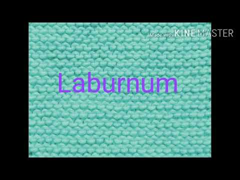 @English Labs2730 II HOW TO SAY LABURNUM ? (CORRECTLY) 🍁 A SHORT TREE WITH HANGING BRANCHES.