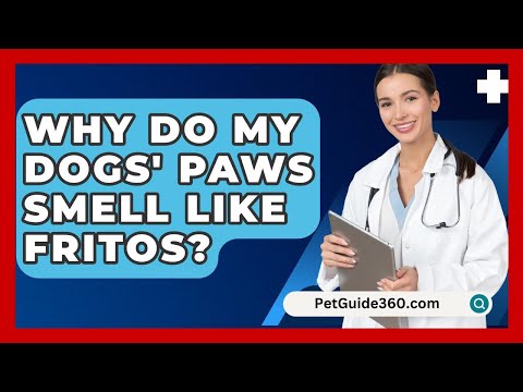 Why Do My Dogs' Paws Smell Like Fritos? - PetGuide360.com