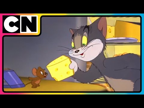 Tom and Jerry😺🐭| Jerry's Eternal Cheesy Affair🧀| Cheese Day Special😍| Cat & The Mouse 😍| @cnindia