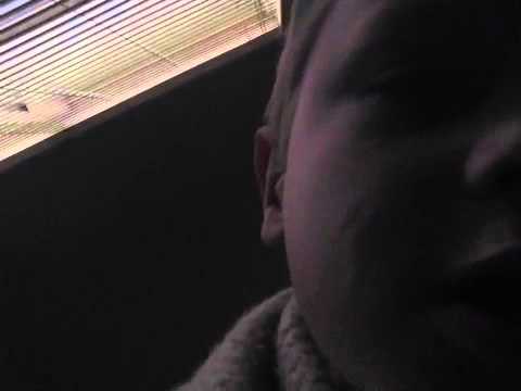 Stampy lovely world song