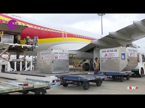 Big Data Revolutionizes China's Cross-Border Logistics