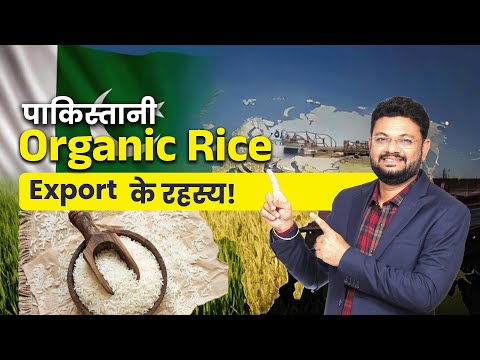 आर्गेनिक राइस एक्सपोर्ट | Organic Rice Export Market | India Vs Pakistan Rice Export