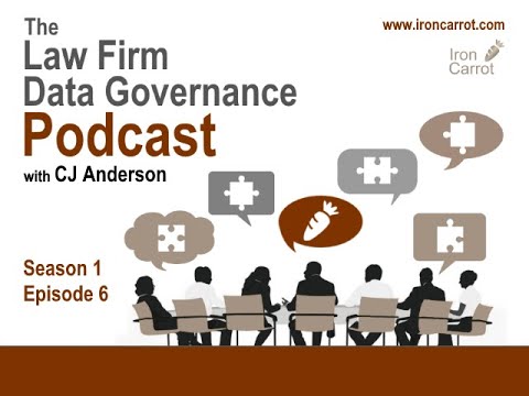 1.6 The data issues log for Data Governance