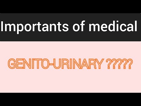 Meaning of genitourinary | Important basics of medical | Basic concept building