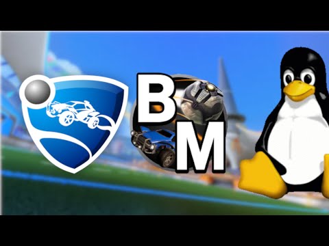 How to INSTALL & RUN BAKKESMOD on LINUX