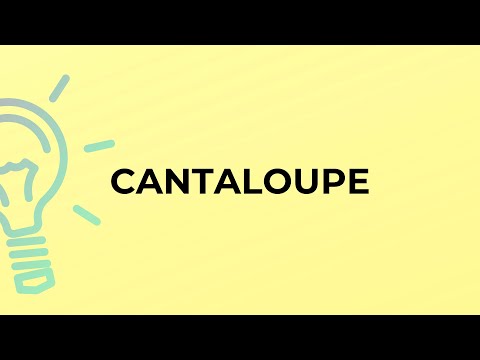 What is the meaning of the word CANTALOUPE?