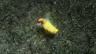 Golden chicken at Skyrim Special Edition Nexus - Mods and Community