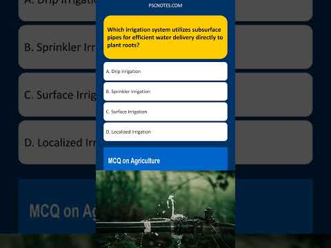 Which irrigation system utilizes subsurface pipes for efficient water delivery directly to
