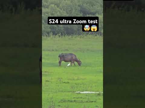😳🙀 Samsung Galaxy S24 ULTRA Zoom Camera X100🤯🥵🔥#s24ultra #samsung #shorts #s25ultra