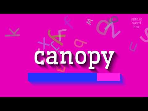 How to say "canopy"! (High Quality Voices)