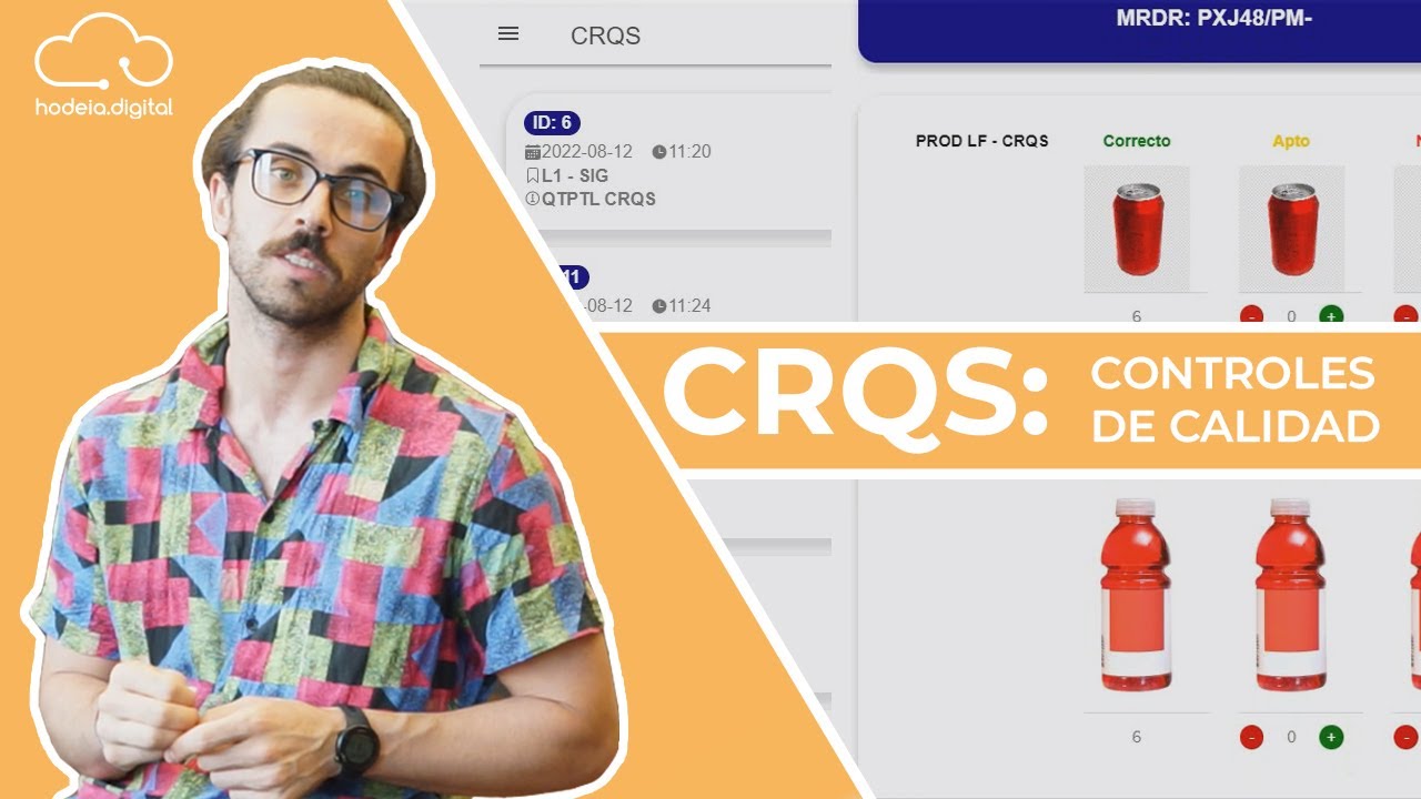 CRQS: Controles visuales para afianzar la calidad del producto - Hodeia ...