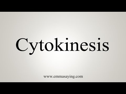 How To Say Cytokinesis