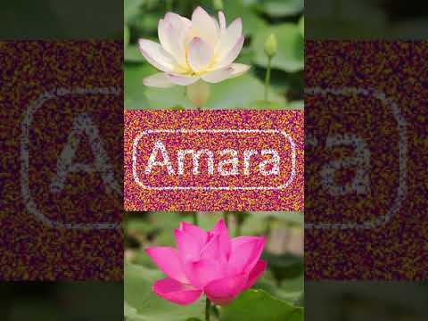 🌷 AMARA 🌷 | AMARA Lotus Status | AMARA - Peace