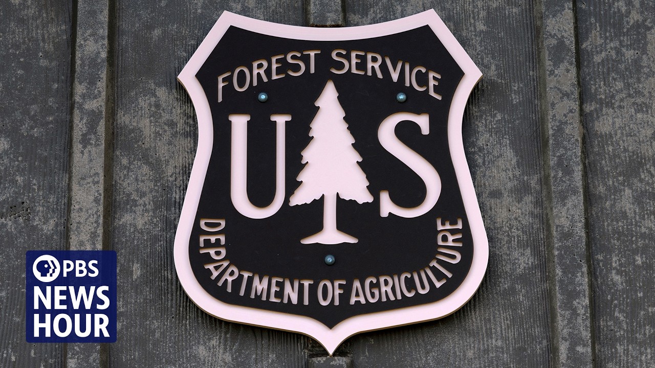 U.S. Forest Service cuts raise concerns on protecting public lands and fighting wildfires
