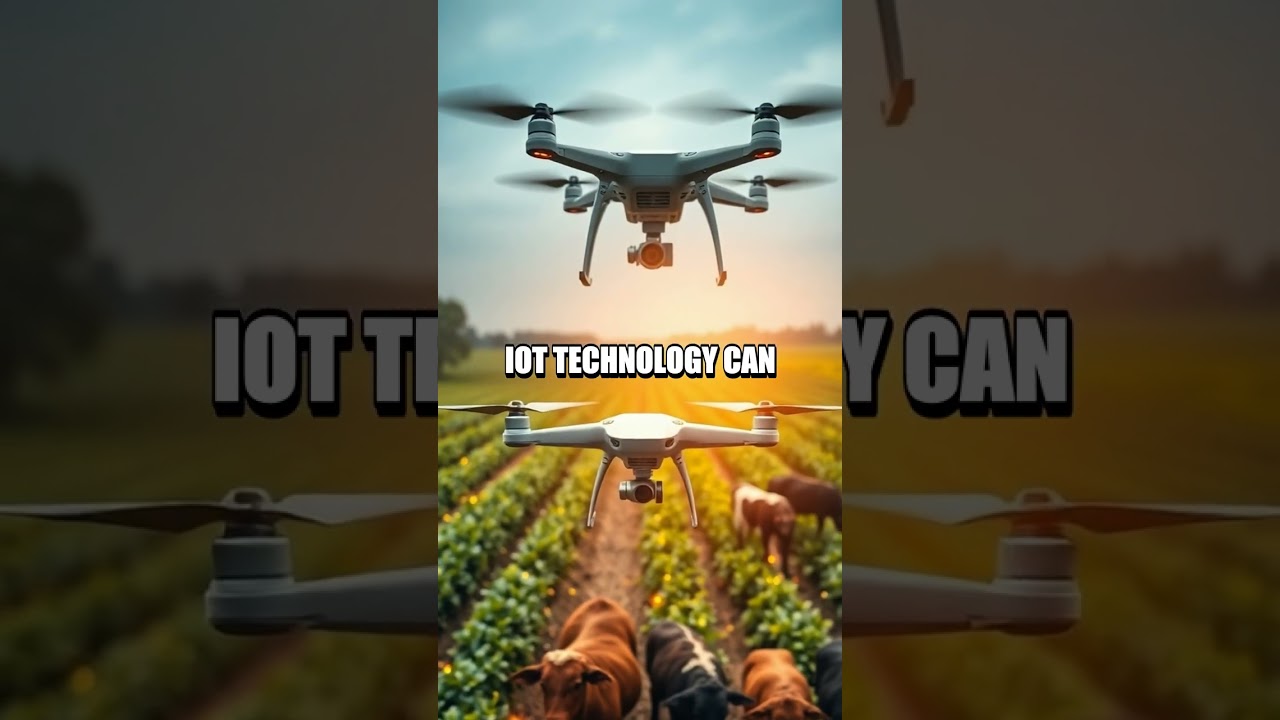 The Future of IoT in Agriculture