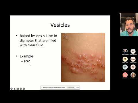 Dermatology for Allergists (Serota)