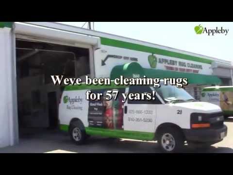 Oriental Area Rug Cleaning Process San Leandro