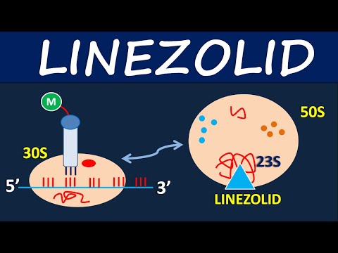 Linezolid Injection - Linezolid 600 mg Injection Latest Price ...