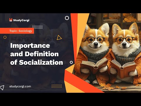 Importance and Definition of Socialization - Essay Example