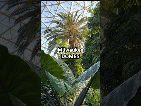Mitchell Park Domes | Milwaukee Domes πΏπΈπ΅| Milwaukee Wisconsin